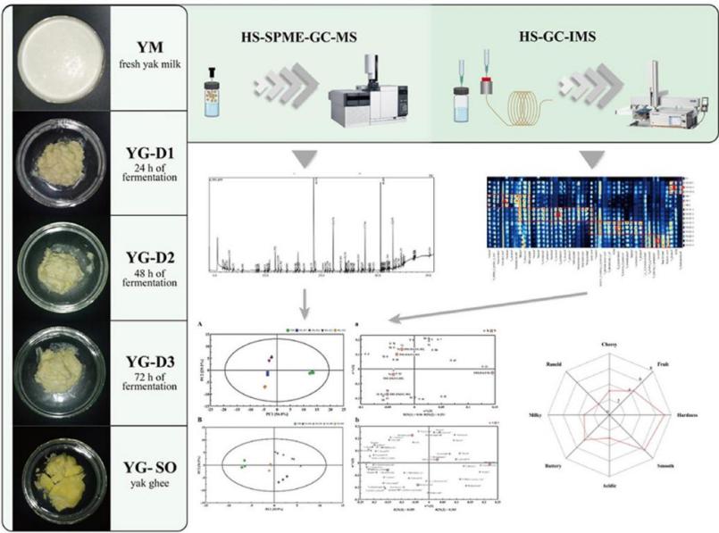 生物医学研究中心食品生物技术团队用GC-MS和GC-IMS鉴别和表征了酥油发酵过程中挥发性物质的变化-生物医学研究中心